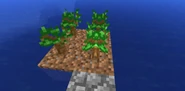 Saplings | Minecraft Wiki | Fandom