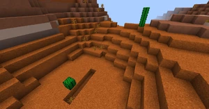 Biom | Minecraft Wiki | Fandom