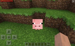 Minecraft Baby Pig Wallpaper