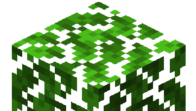 Discuss Everything About Minecraft Wiki | Fandom