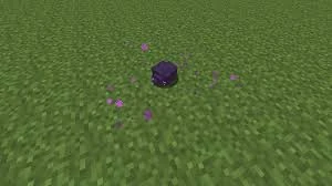 Endermite | Wiki Minecraft | Fandom