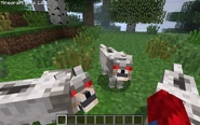 Wolf/Gallery | Minecraft Wiki | Fandom