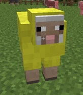 Sheep/Gallery | Minecraft Wiki | Fandom