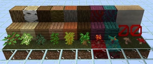 Wood Planks | Minecraft Wiki | Fandom