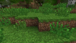 Grama Alta Minecraft Minecraft Live 2025: Vibrant Visuals, Flying