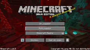 Edição Java 1.16.5 - Minecraft Wiki