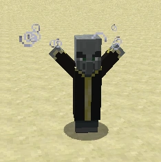 Magier | Minceraft Wiki | Fandom
