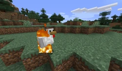 Rohes Hühnchen Minecraft Einfache Hühnerfarm – Vielleicht Nicht