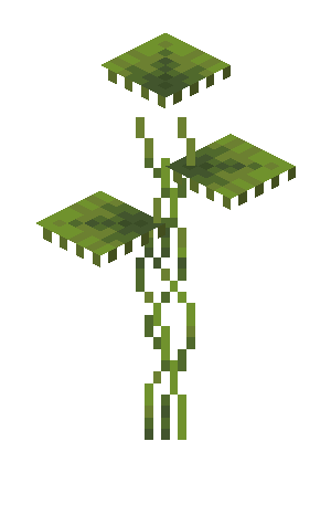 Kleines Tropfblatt – Minecraft Wiki