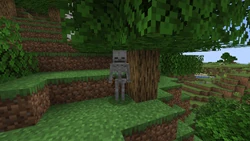 Císte Creatlach Minecraft