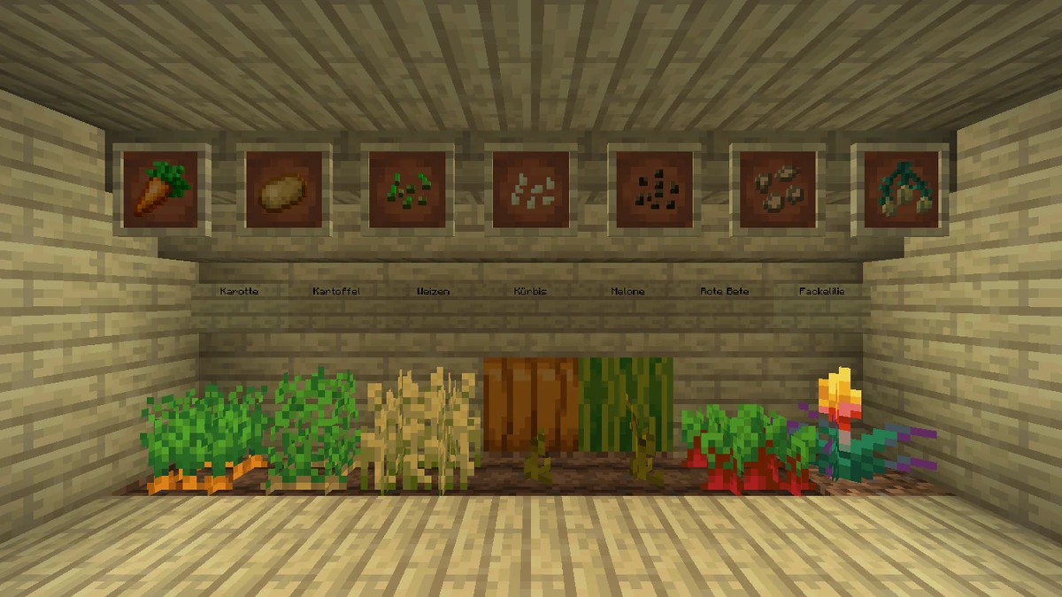 Samen (Begriffsklärung) – Minecraft Wiki