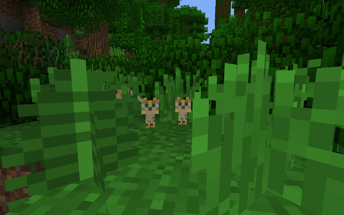 Ozelot | Minceraft Wiki | Fandom