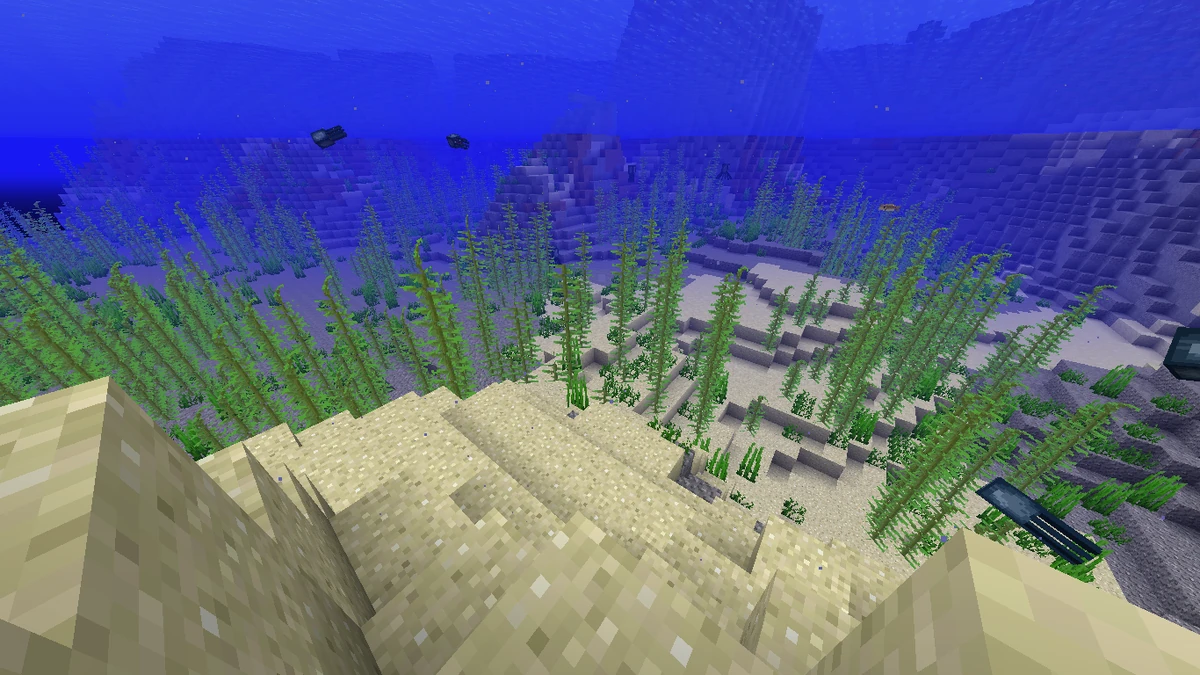 Seetang | Minceraft Wiki | Fandom