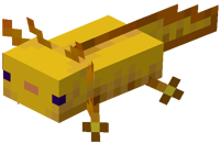 Axolotl – Minecraft Wiki