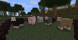 Oveja Rosa Minecraft Pe Sheep – Minecraft Wiki