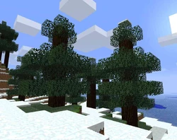 Arboles De Acacia Minecraft