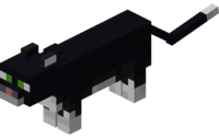 Gato - Minecraft Wiki