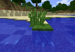 Hierba De Minecraft