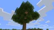 Árbol - Minecraft Wiki