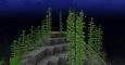 Alga - Minecraft Wiki