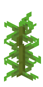 Alga - Minecraft Wiki
