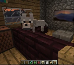 Lobo Domesticado Minecraft
