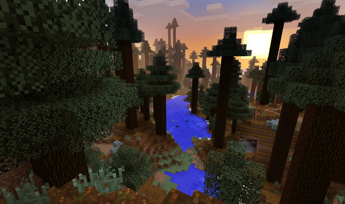 Podzol – Le Minecraft Wiki