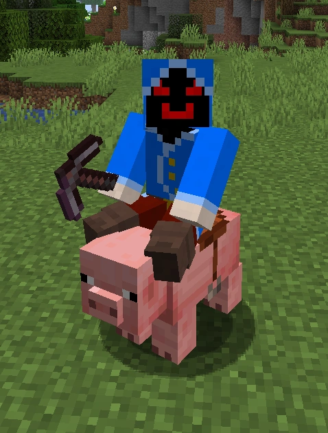 Selle – Le Minecraft Wiki