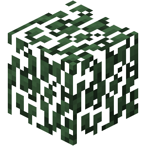 Java Edition removed blocks/Metadata variants/Recontinued – Minecraft Wiki