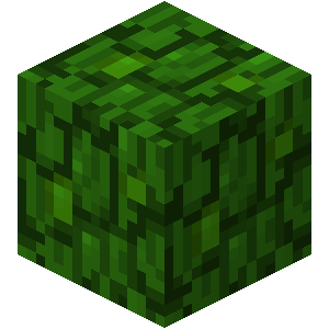 Leaves Minecraft