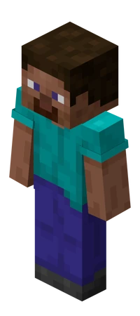 Steve Skin