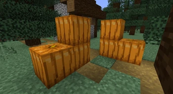 Pile – Minecraft Wiki