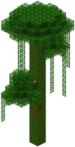Jungle tree – Minecraft Wiki