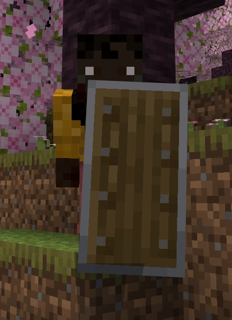 Blocking – Minecraft Wiki