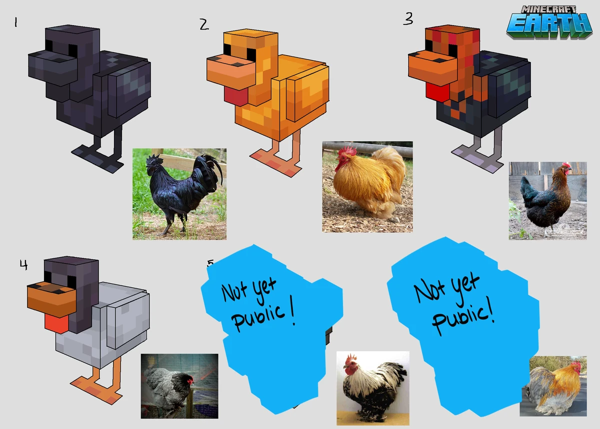 Minecraft Earth:Galinha da Meia-Noite - Minecraft Wiki