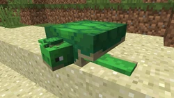 how to make turtles in minecraft frick