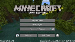 Java Edition 1.19.1 - Minecraft Wiki