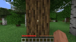 Breaking – Minecraft Wiki