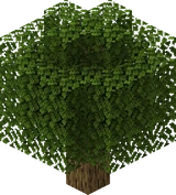 Tree/Structure – Minecraft Wiki