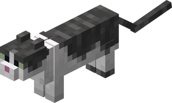 Gato - Minecraft Wiki