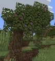 Árvore de azaleia - Minecraft Wiki
