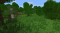 Grass – Minecraft Wiki