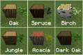 Sapling – Official Minecraft Wiki
