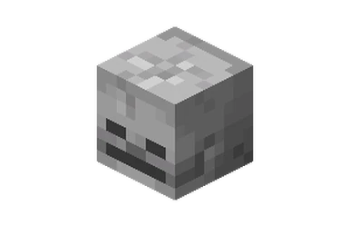 Minecraft Wither Skeleton Head
