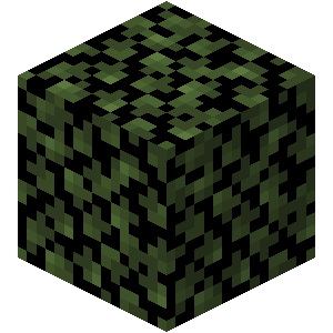 Minecraft Leaf Block Texture