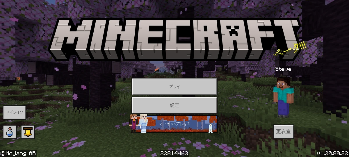 Bedrock Developer Beta – Minecraft Wiki