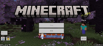 Bedrock Developer Beta – Minecraft Wiki