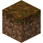 Podzol - Minecraft Wiki
