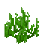 Erba acquatica - Minecraft Wiki