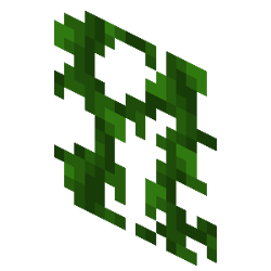 Vines (feature) – Minecraft Wiki